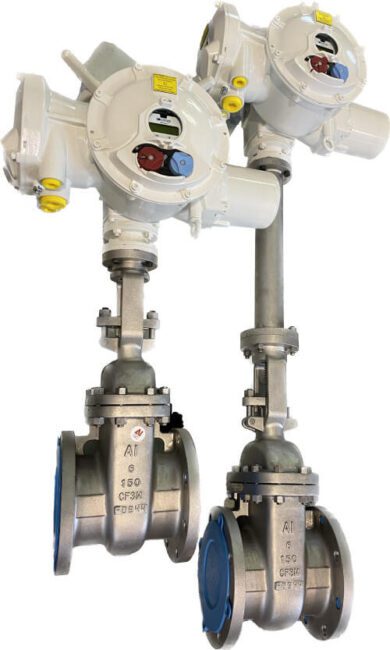 Gate Valves • Audco Italiana